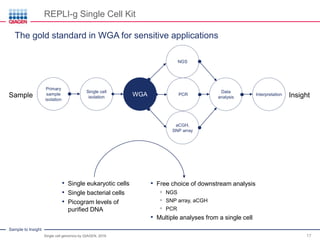 Whole Genome Amplification from Single Cell | PDF