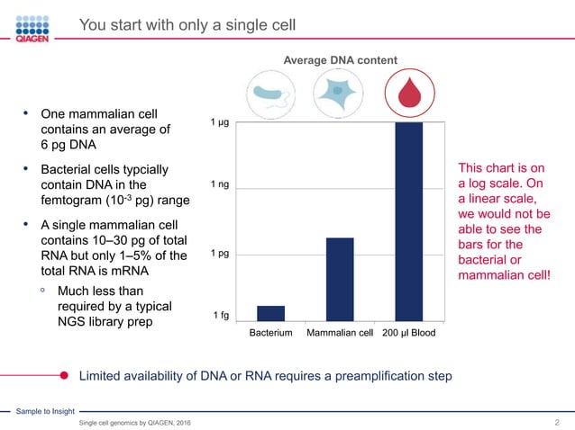 Whole Genome Amplification from Single Cell | PDF | Biological Sciences ...