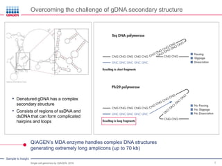 Whole Genome Amplification from Single Cell | PDF