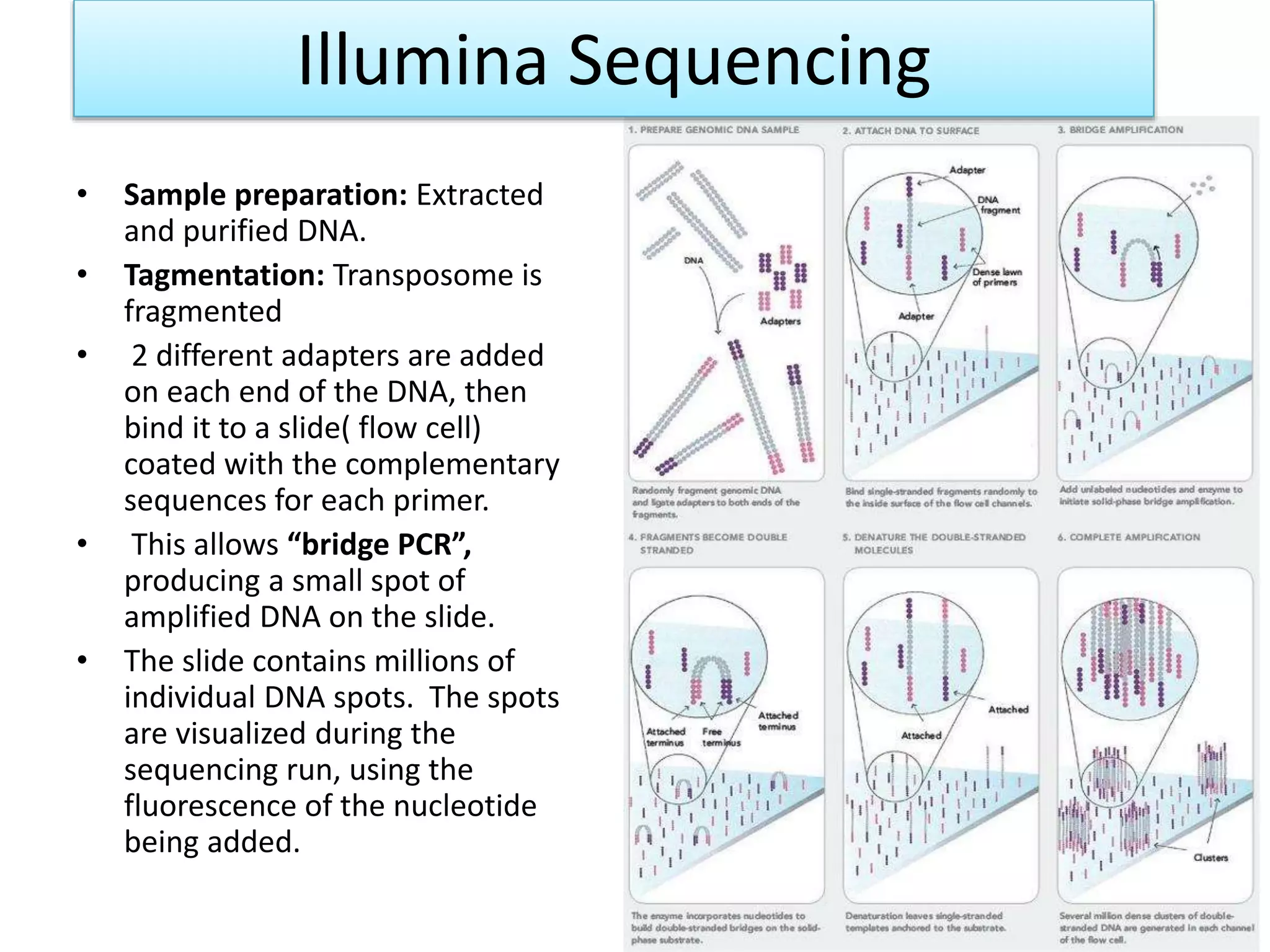 Third Generation Sequencing | PPTX