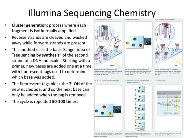 Third Generation Sequencing | PPTX | Biological Sciences | Science