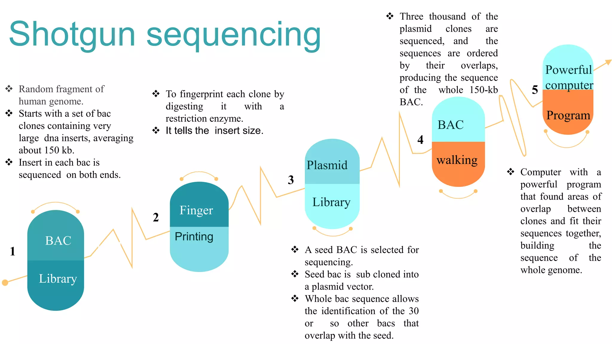 Whole genome sequence | PPTX