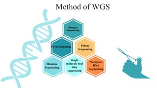 Whole genome sequence | PPTX