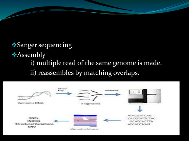 Whole genome sequence. | PPTX