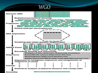 Whole genome sequence. | PPTX