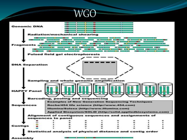 Whole genome sequence. | PPTX