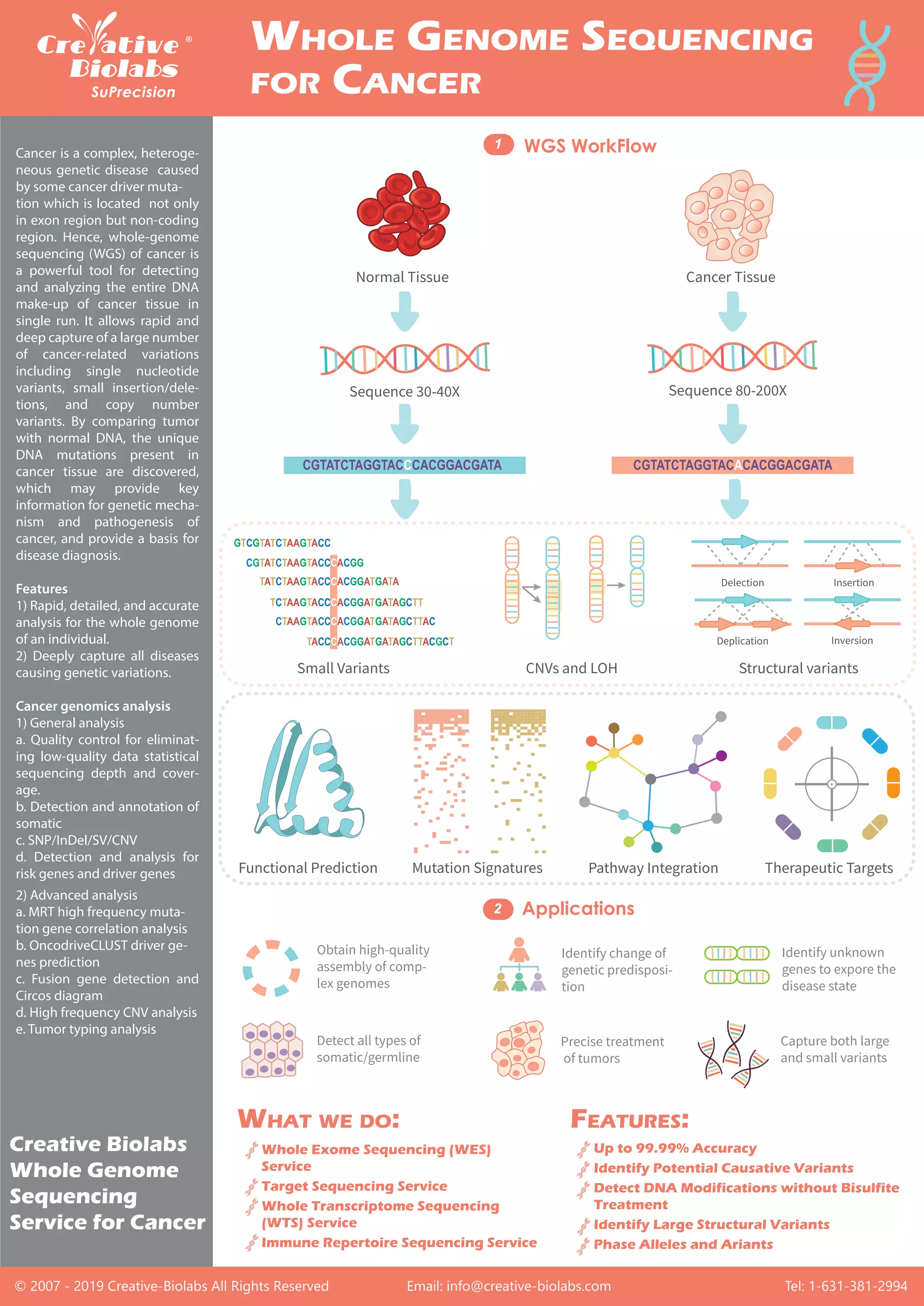 Whole genome sequence for cancer | PDF