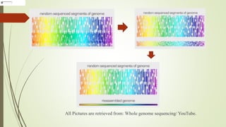 Whole genome sequencing | PPTX