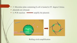 Whole genome sequencing | PPTX