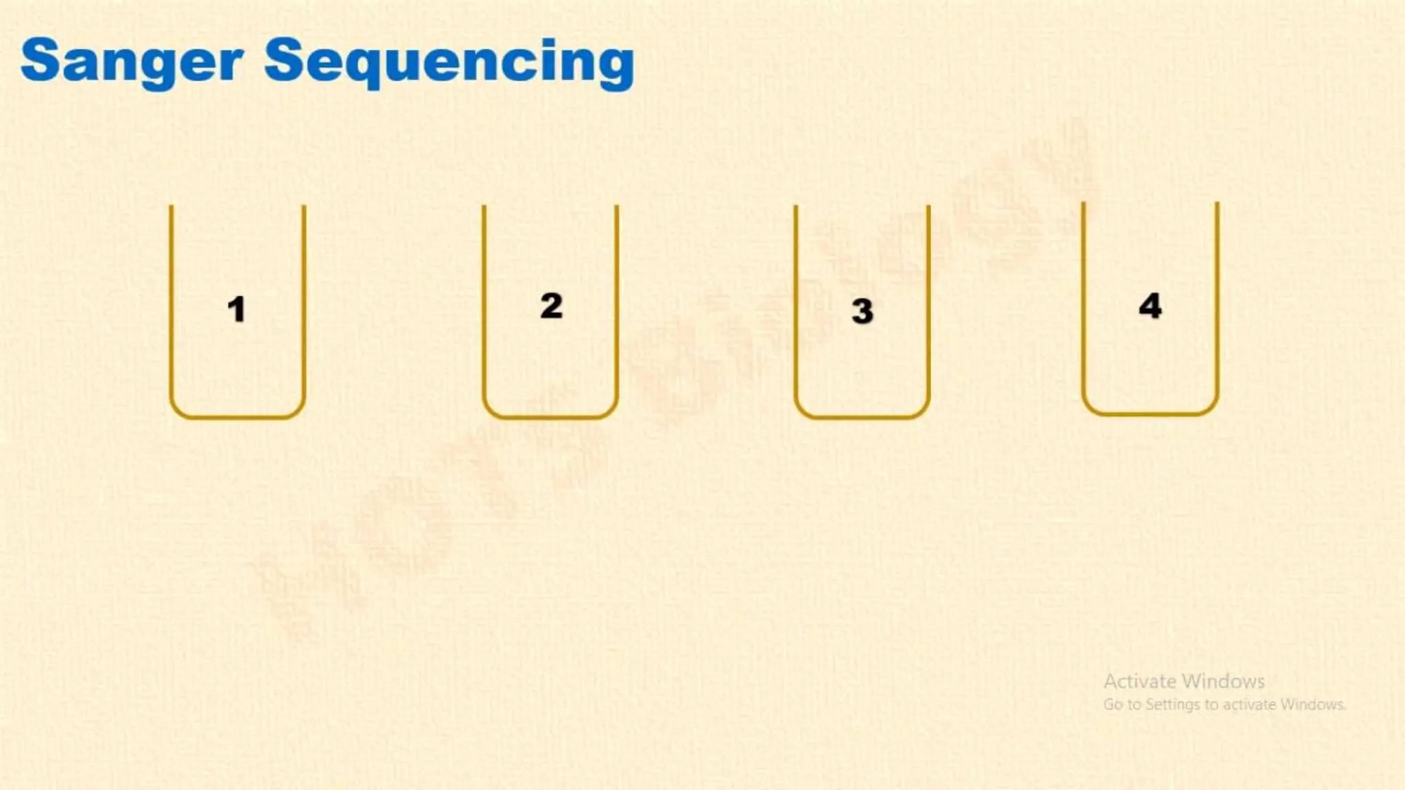 Whole Genome Sequencing .pptx