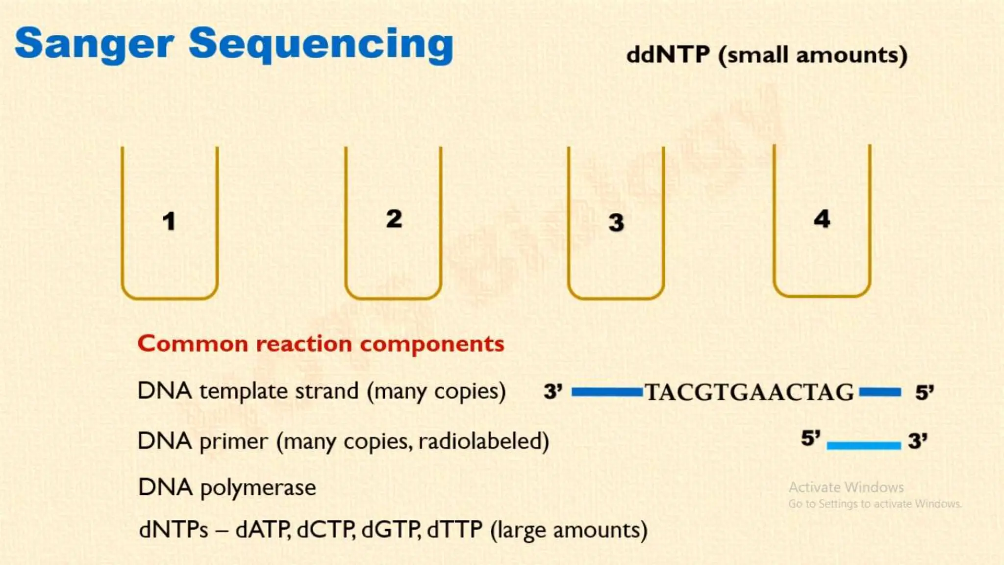 Whole Genome Sequencing .pptx