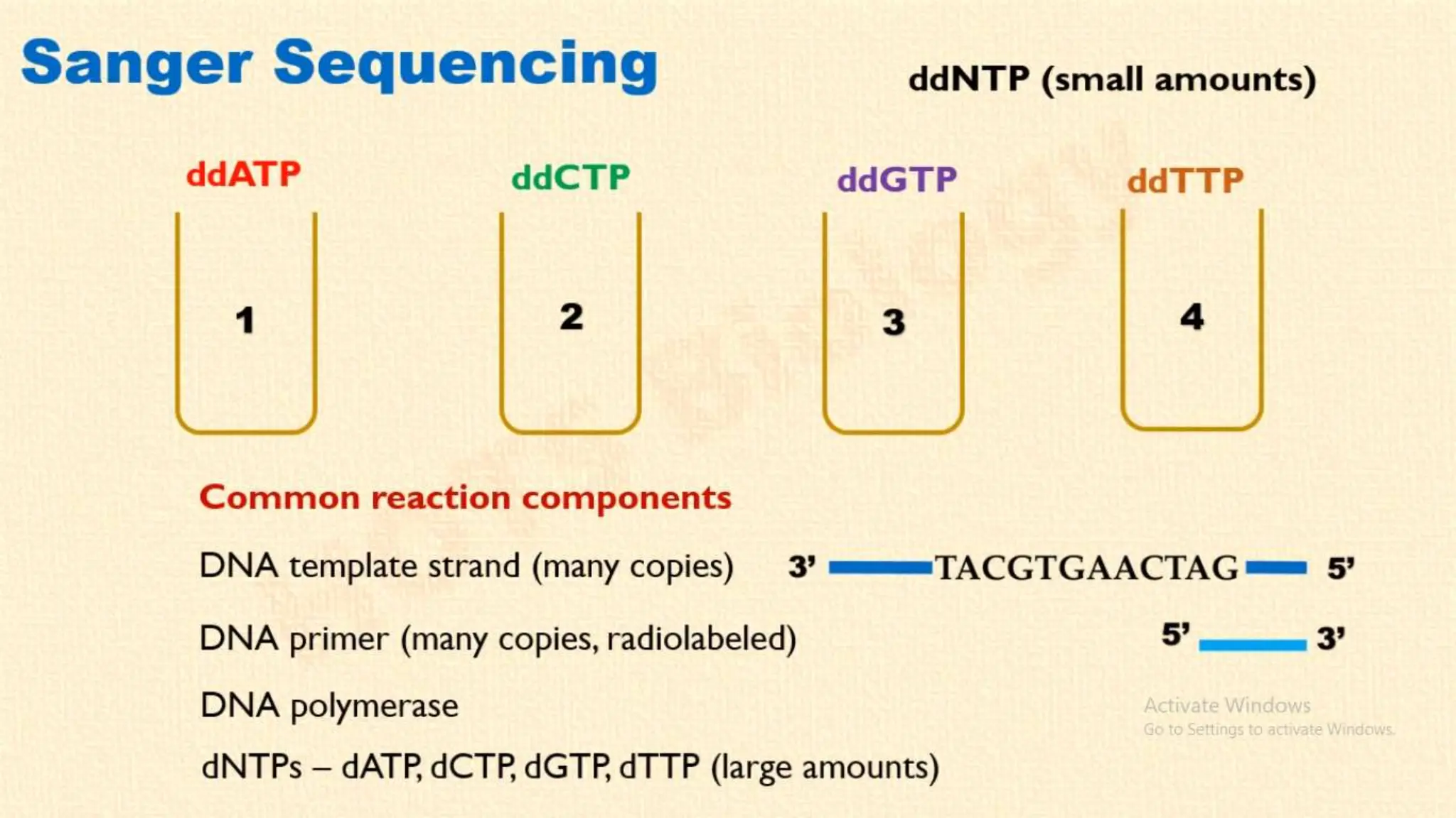 Whole Genome Sequencing .pptx