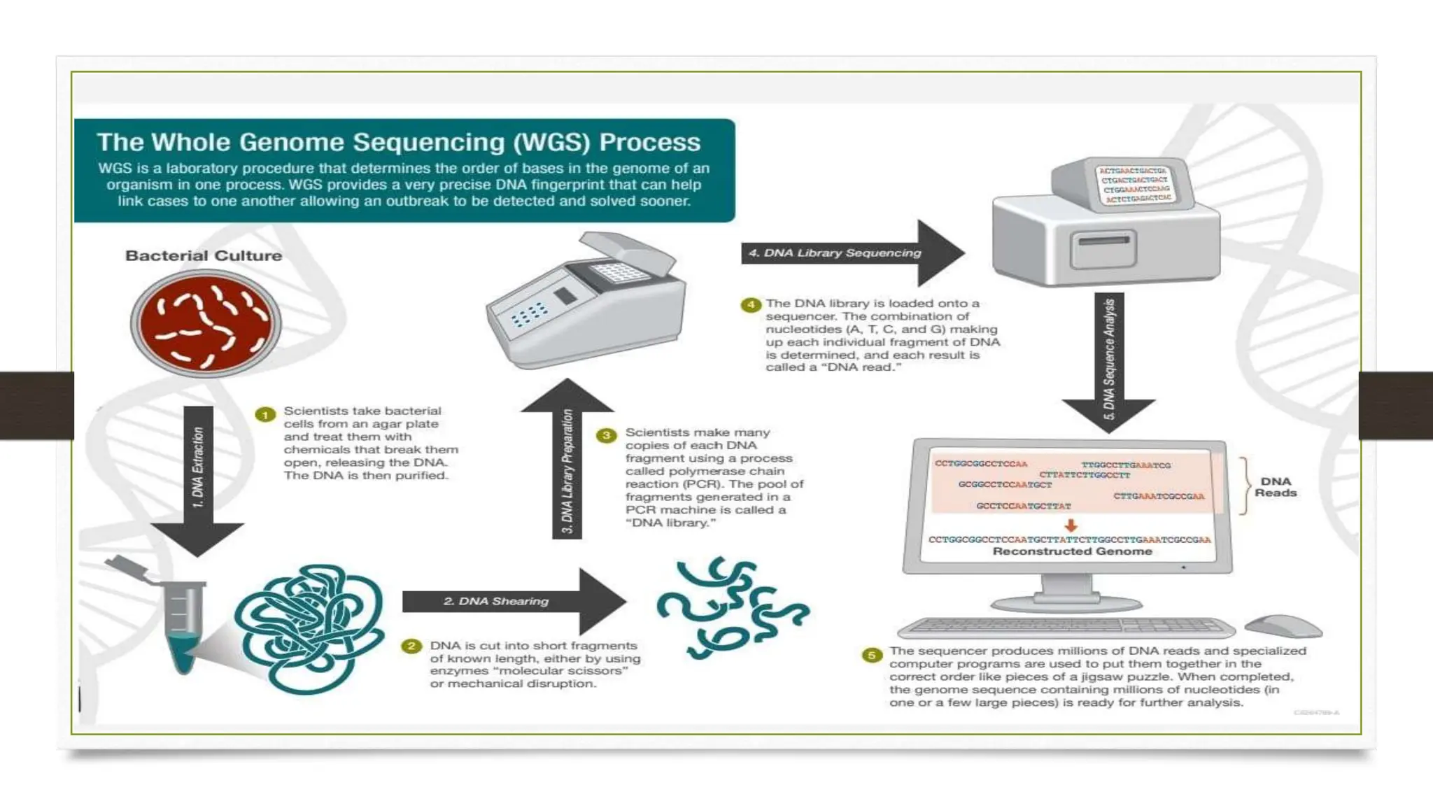 Whole Genome Sequencing .pptx
