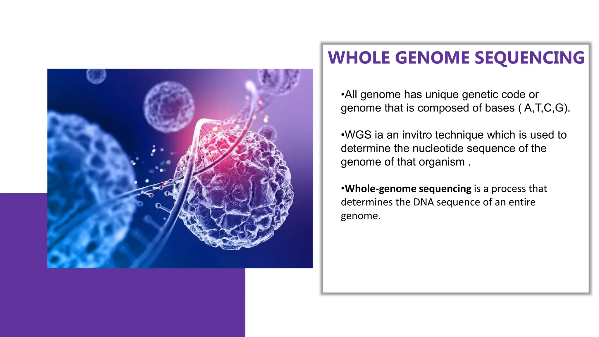 whole genome sequencing new and its types including shortgun and clone ...