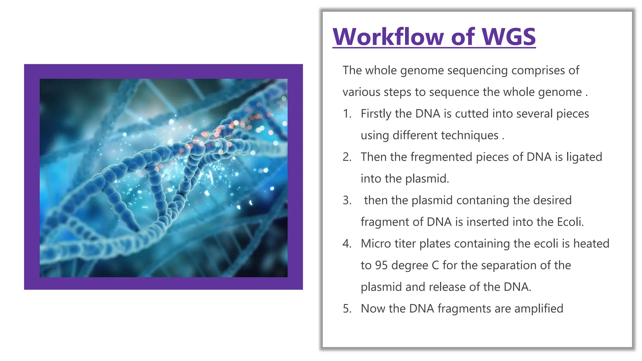 whole genome sequencing new and its types including shortgun and clone ...