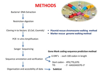 Whole genome sequencing of Bacillus subtilis a gram positive organism ...
