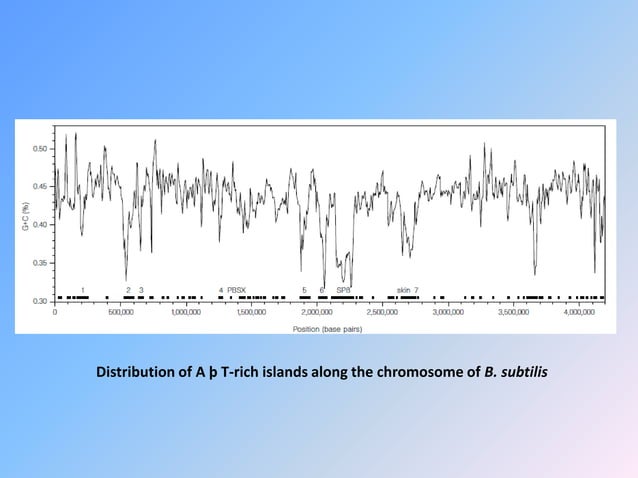 Whole genome sequencing of Bacillus subtilis a gram positive organism | PPT