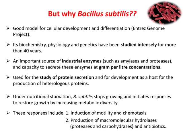 Whole genome sequencing of Bacillus subtilis a gram positive organism | PPT