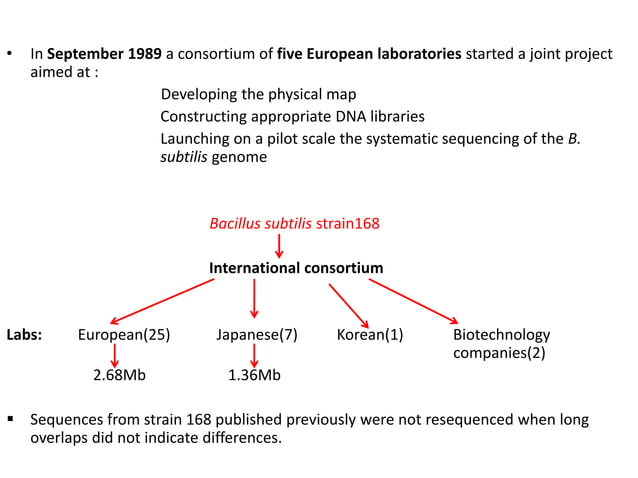 Whole genome sequencing of Bacillus subtilis a gram positive organism | PPT