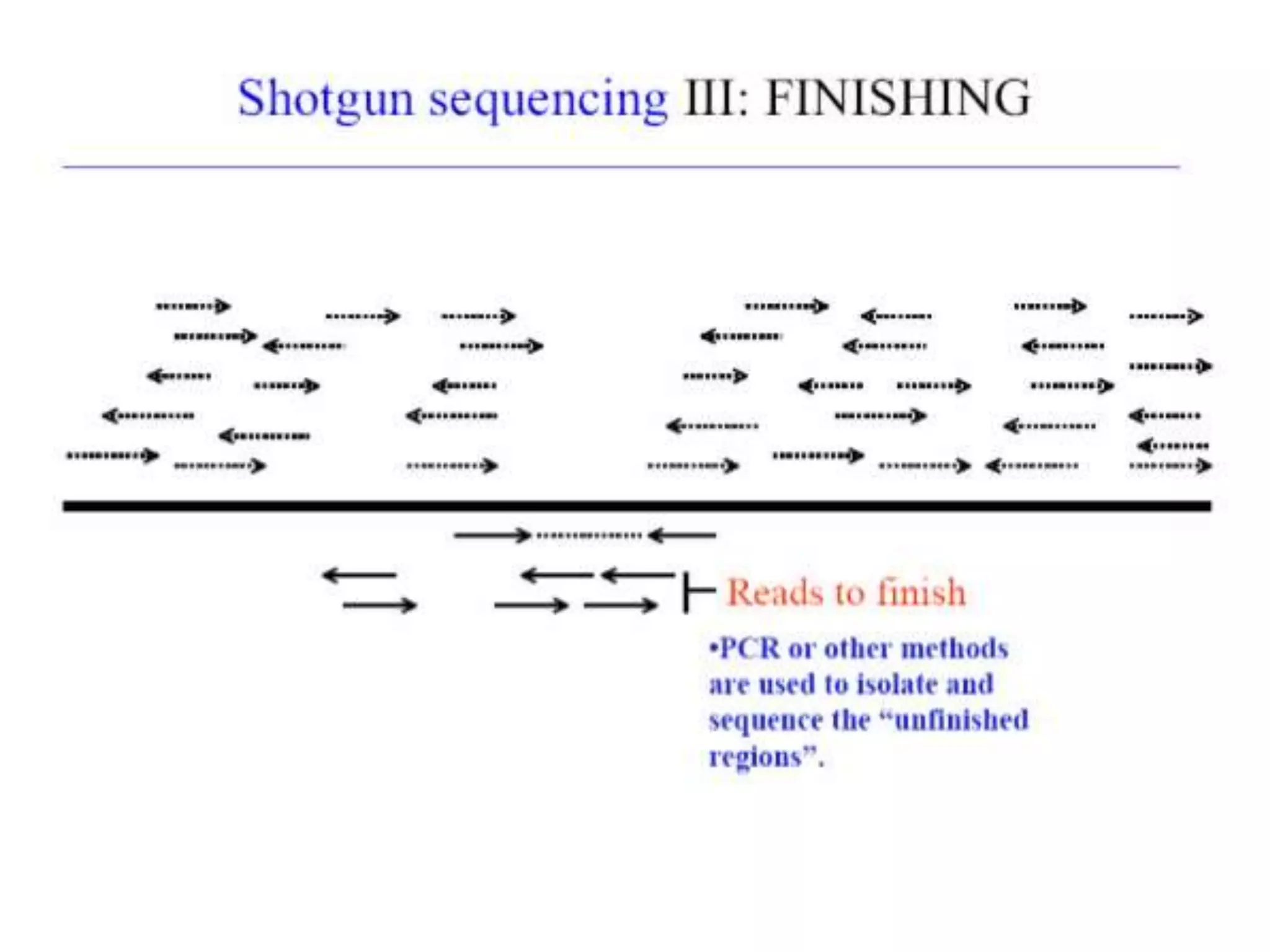 Whole genome shotgun sequencing | PPTX