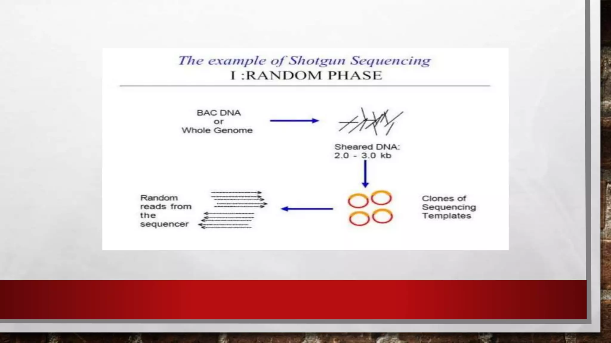 Whole genome shotgun sequencing.pptx