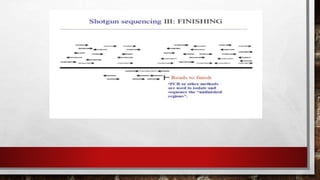 Whole genome shotgun sequencing.pptx
