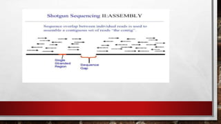 Whole genome shotgun sequencing.pptx