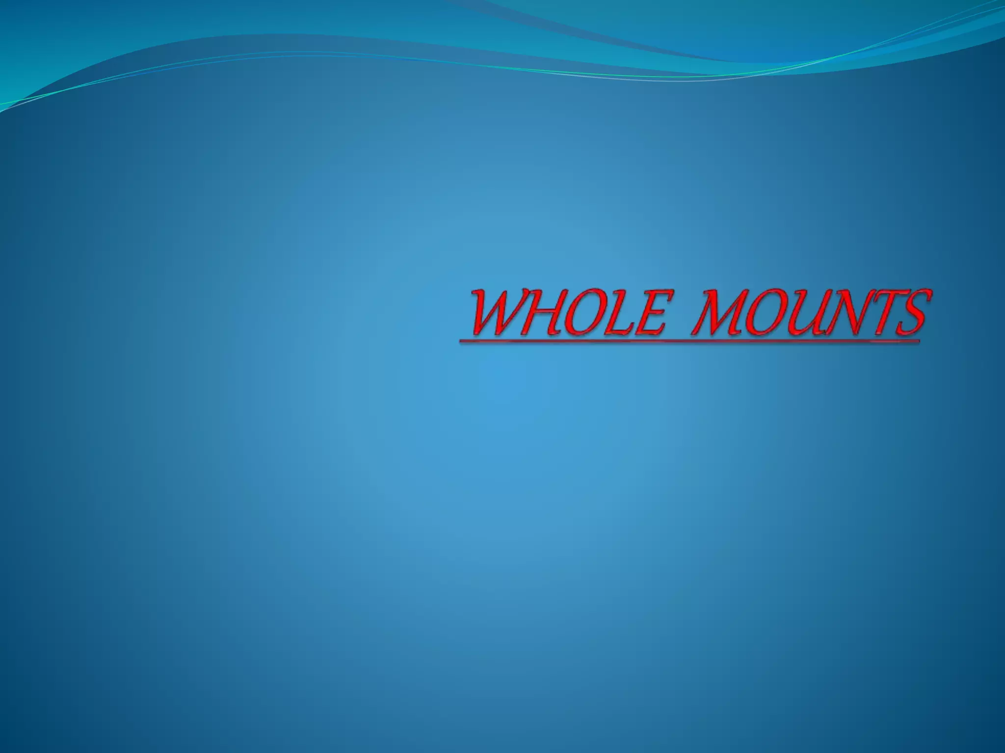 Whole mounts | PPTX
