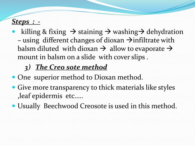 Whole mounts | PPTX | Skin Care | Beauty