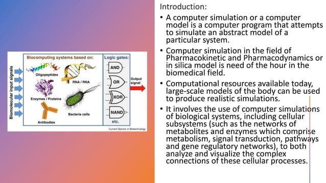 COMPUTER SIMULATIONS IN PHARMACOKINETICS AND PHARMACODYNAMICS | PDF