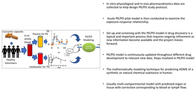 COMPUTER SIMULATIONS IN PHARMACOKINETICS AND PHARMACODYNAMICS | PDF
