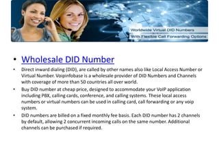 Wholesale did number provider | PPT