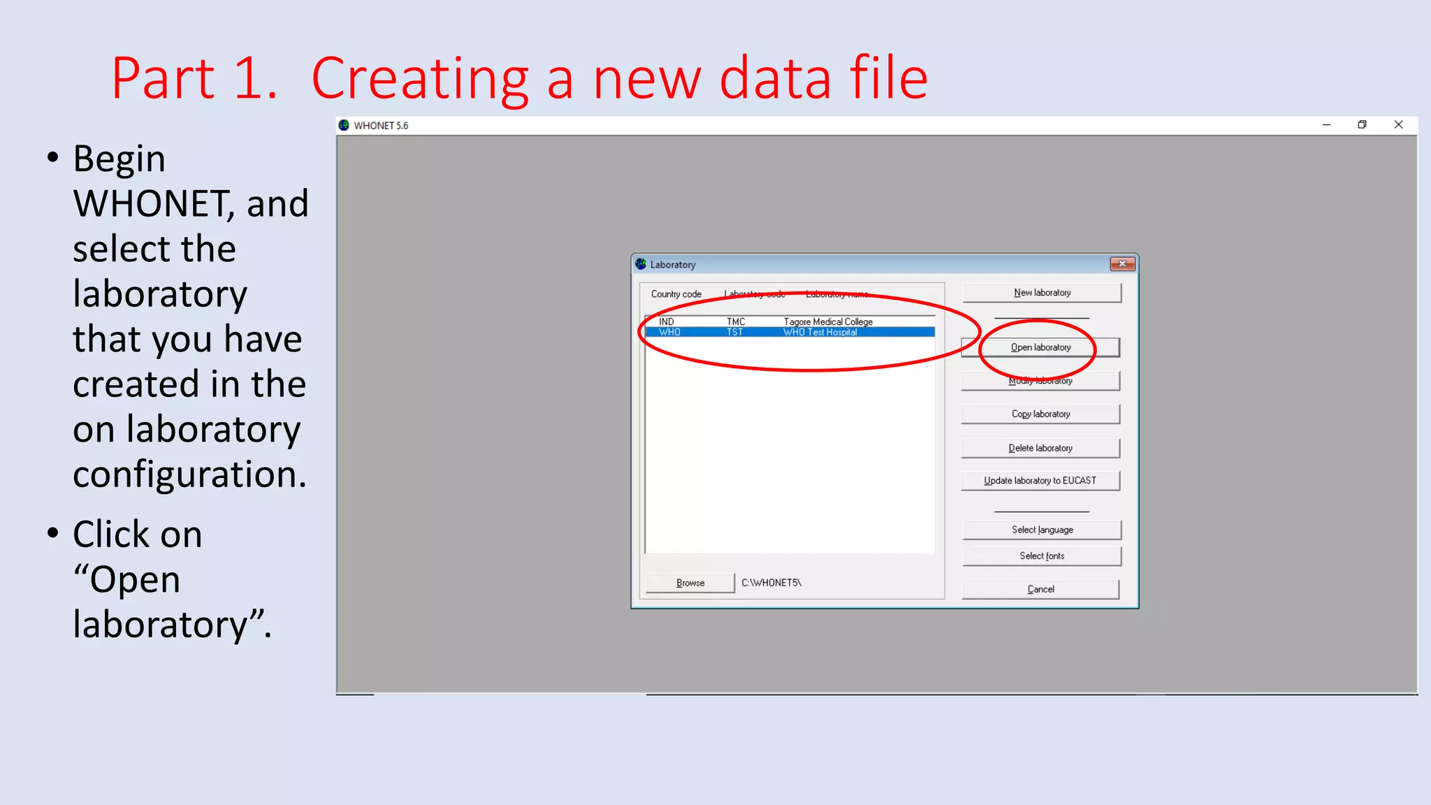 WHONET for antibiotic policy-Its installation and usage guide | PDF