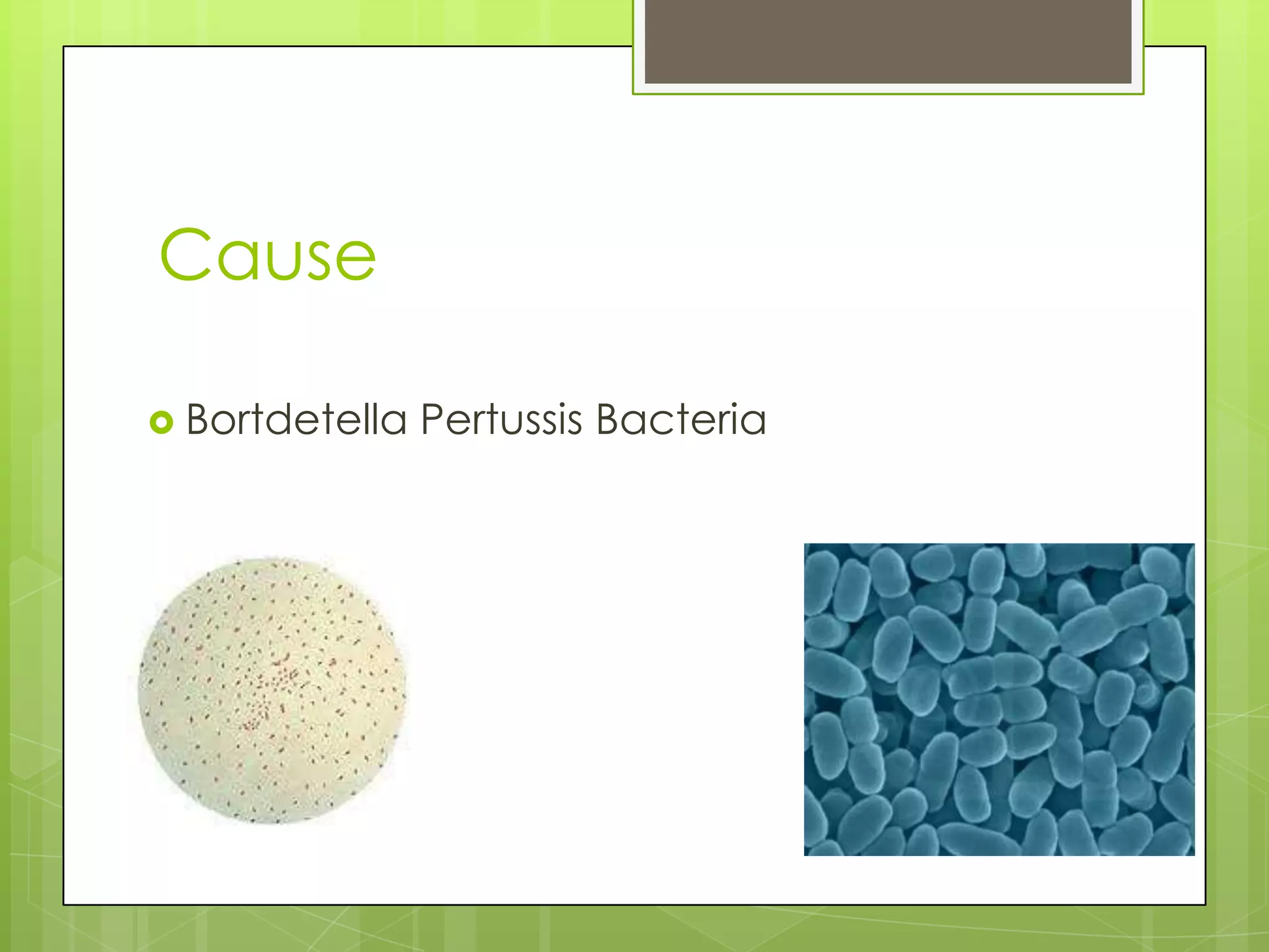 Infectious and Non Infectious Diseases | PPT