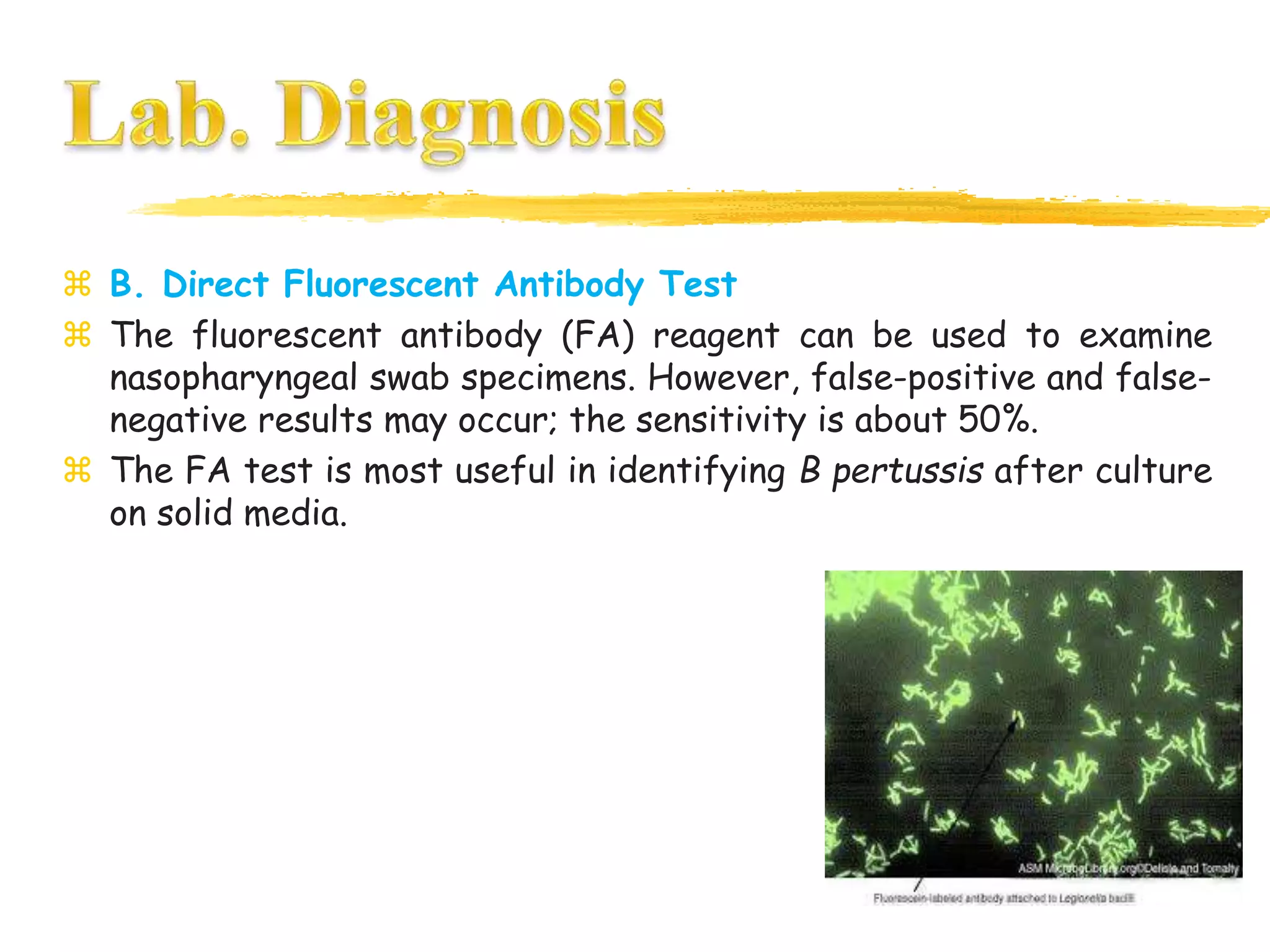whooping cough.ppt