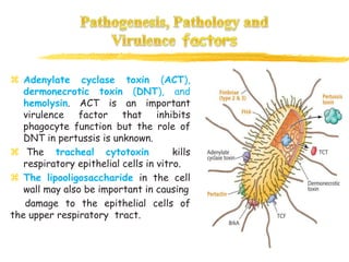whooping cough.ppt