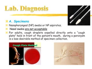 whooping cough.ppt