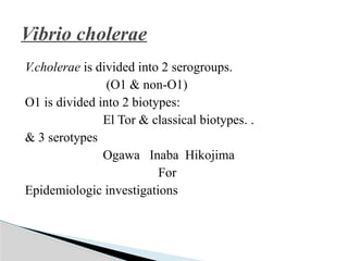Whooping cough & cholera.pptx clinical microbiology | PPTX