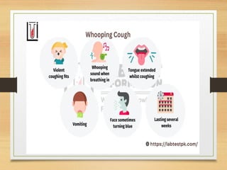 Whooping_Cough community nursing_Presentation didi.pptx