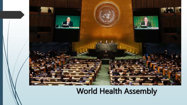 WHO ppt by DINESH RAJPUROHIT.pptx