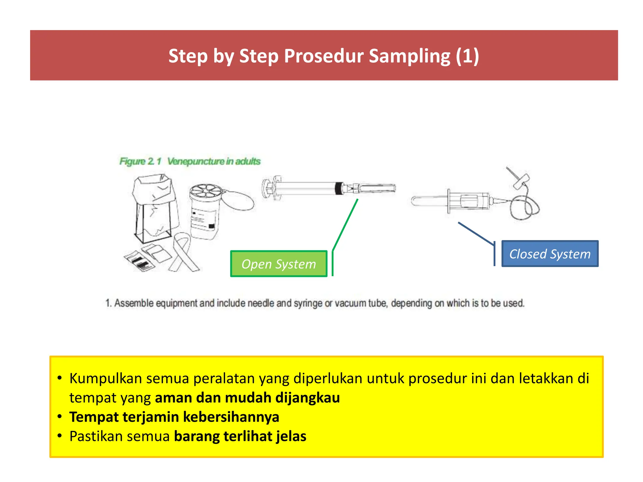 WHO 2020 Sampling Guideline for Phlebotomy | PPTX
