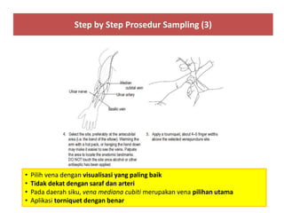 WHO 2020 Sampling Guideline for Phlebotomy | PPTX