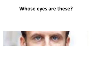 whose-fun-activities-games_109436.pptx