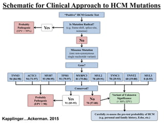 Who should undergo genetic testing | PPT