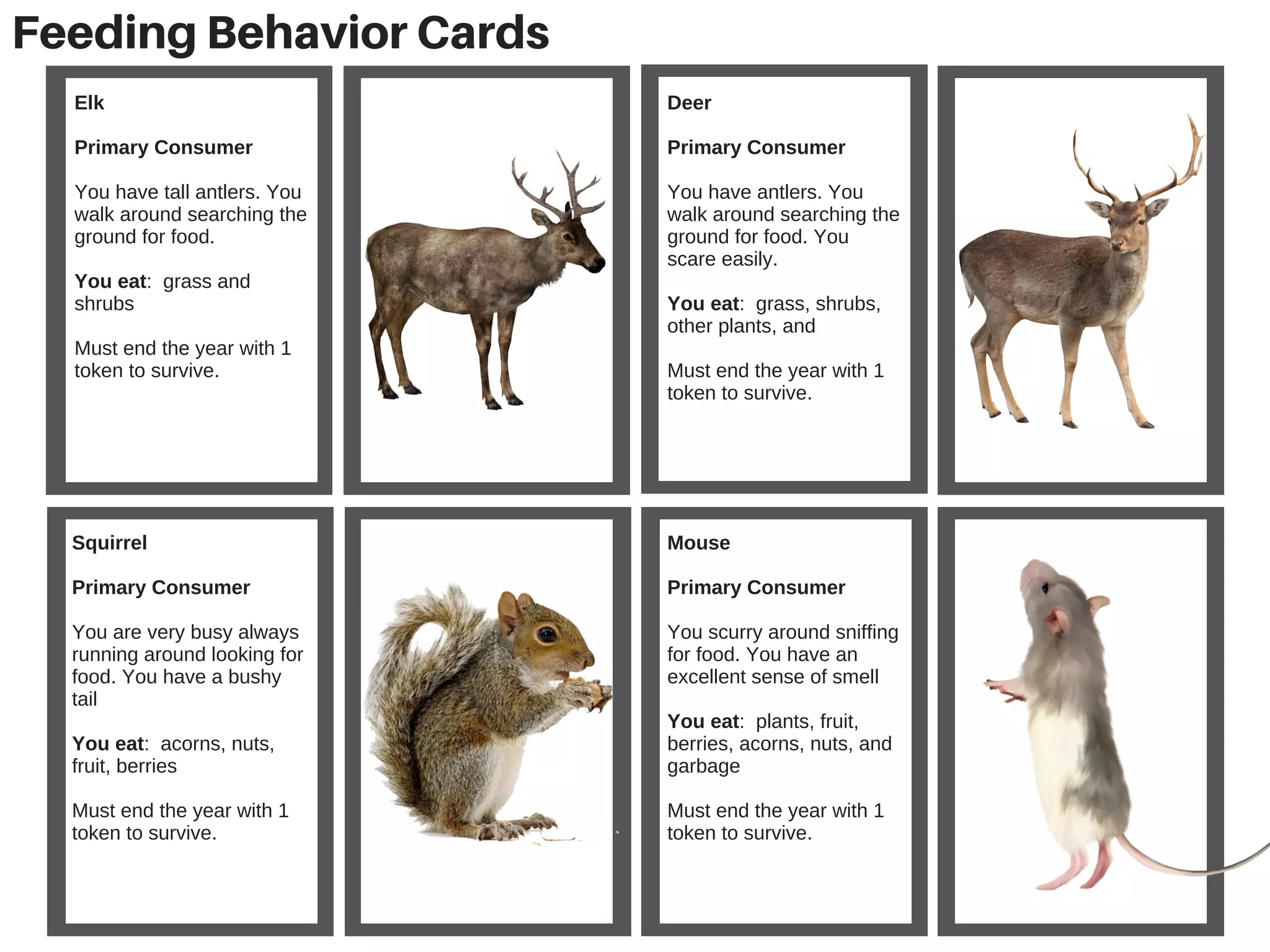 Food Web Food Chain Game | PDF