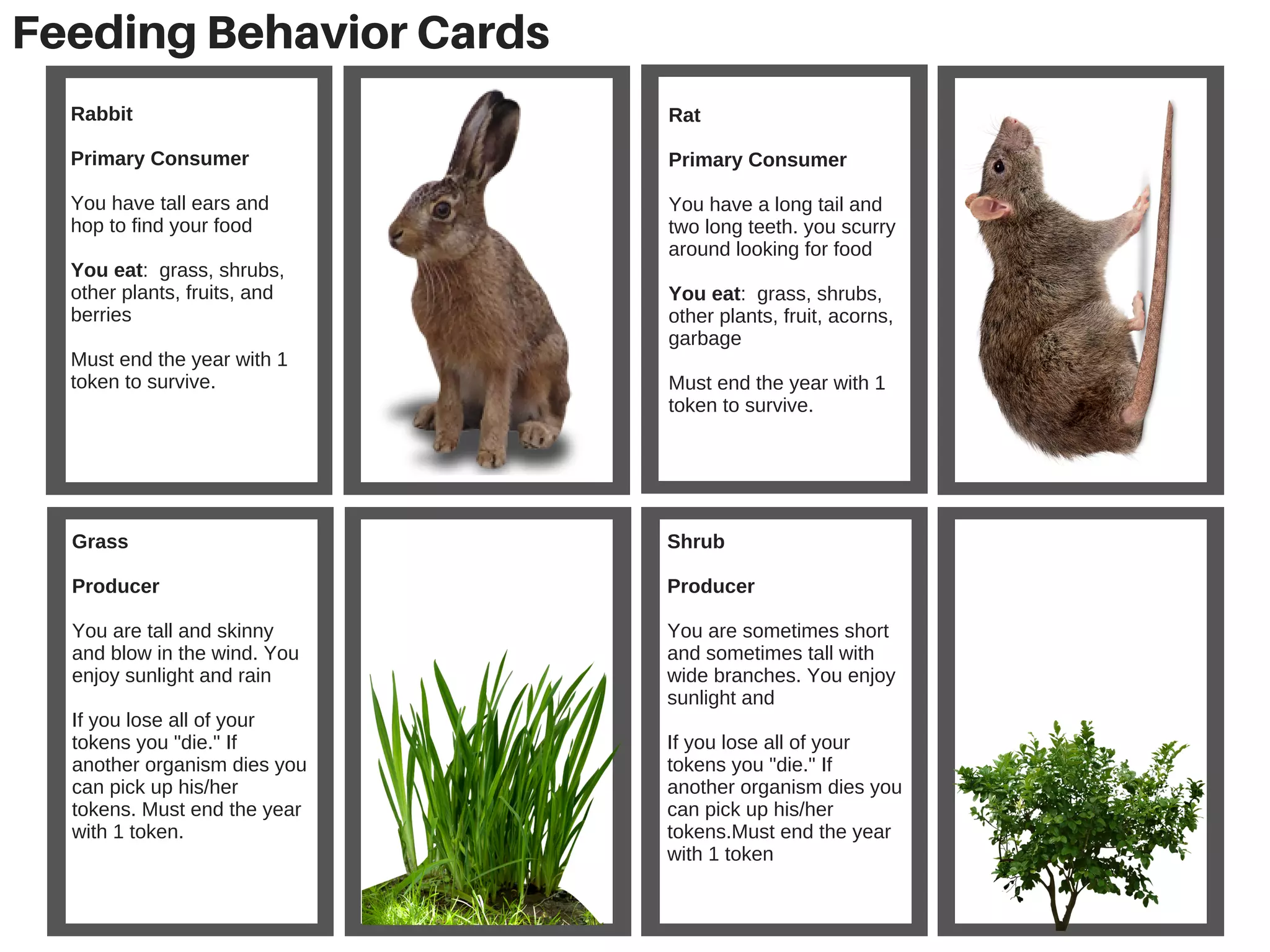 Food Web Food Chain Game | PDF