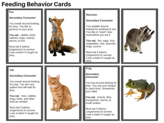 Food Web Food Chain Game | PDF