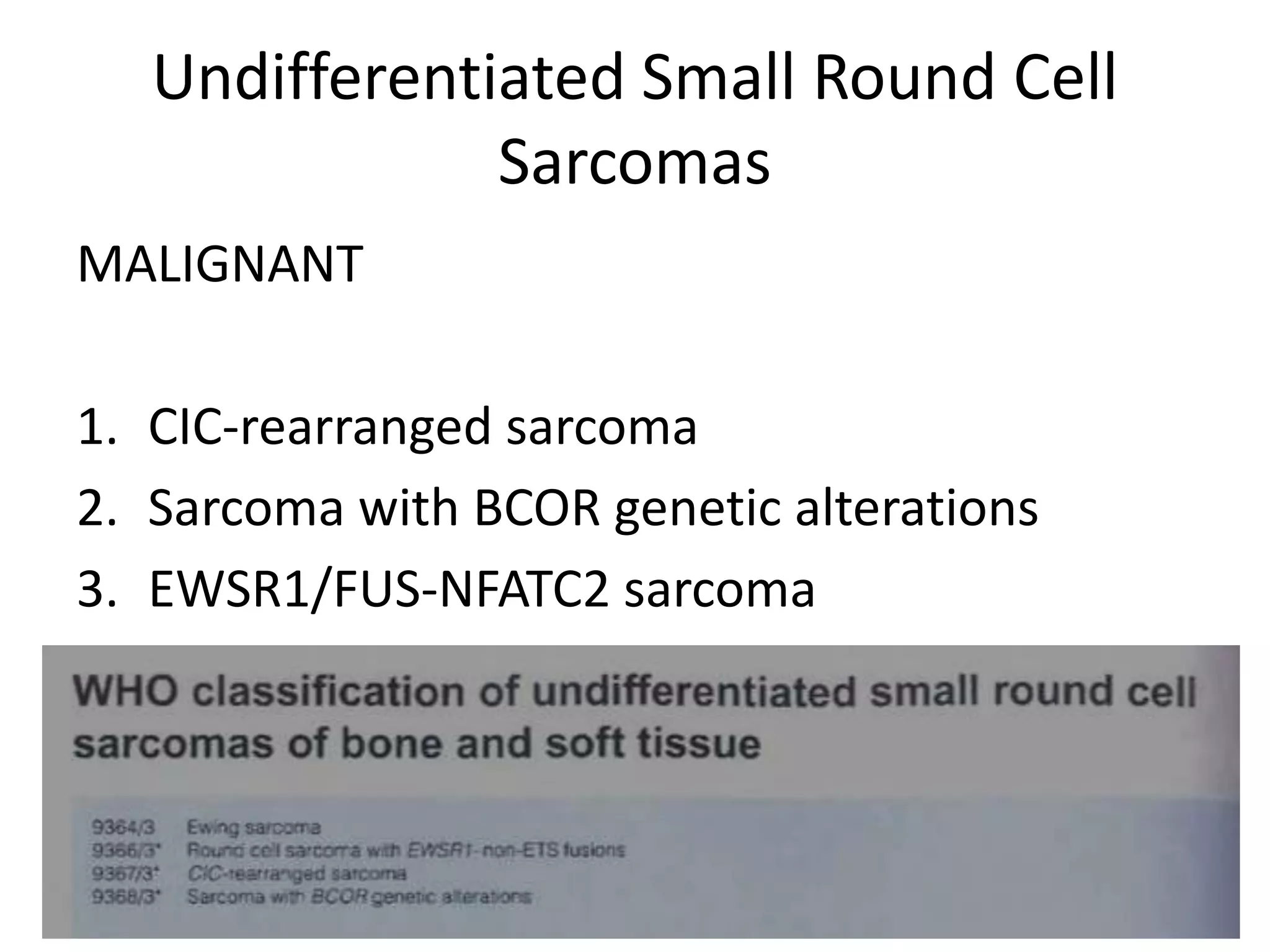 WHO updates on soft tissue tumors.pptx
