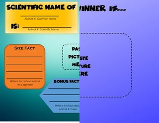 Who Would Win Printable Craft Booklet | PDF