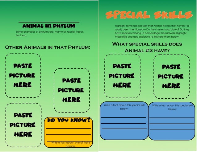 Who Would Win Printable Craft Booklet | PDF | Equine Sports | Sports